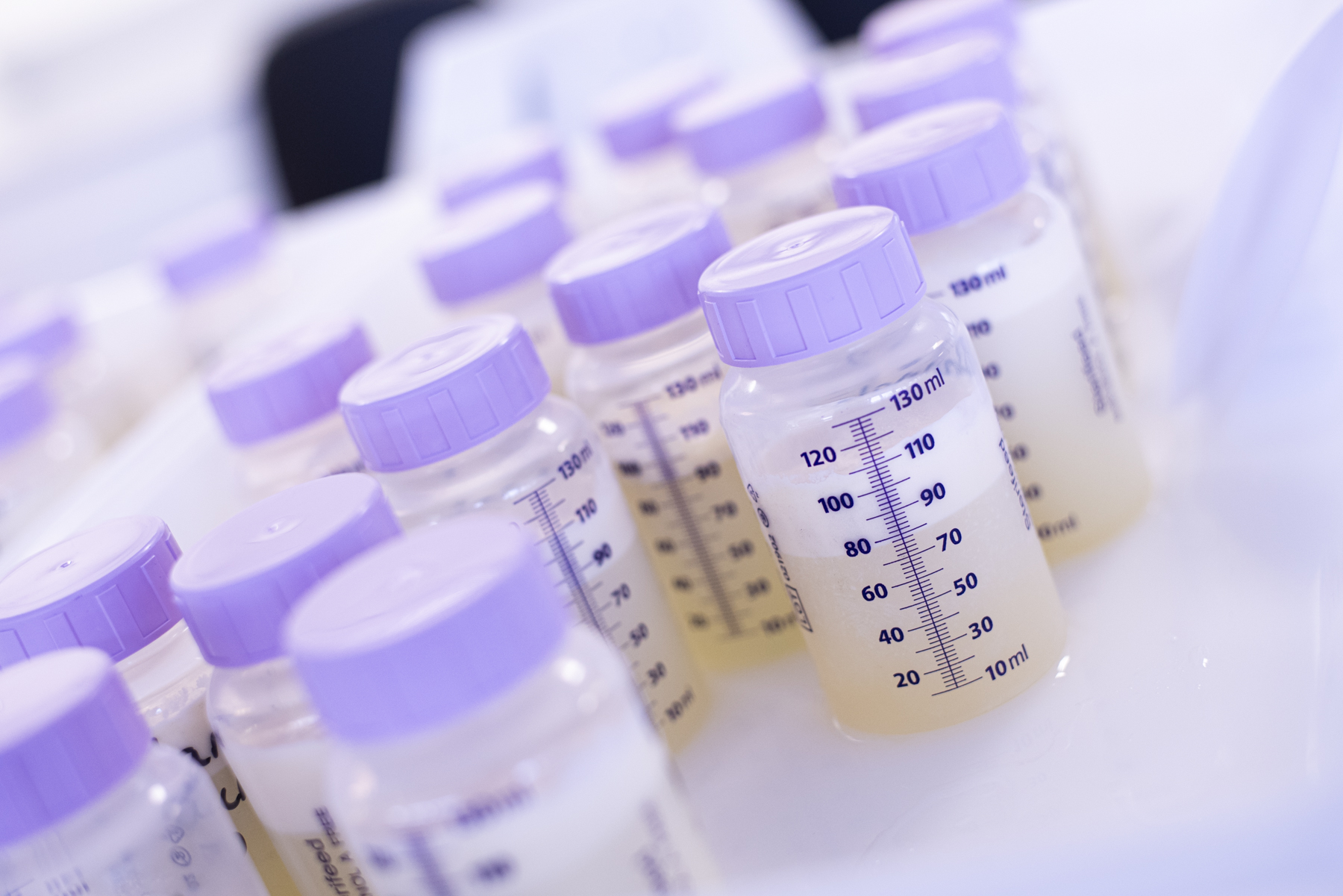 The Milk Bank at Chester